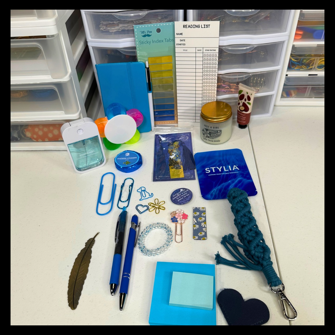 20 Item Bookish Mystery Bundle – The Little Laynie Bug Shop